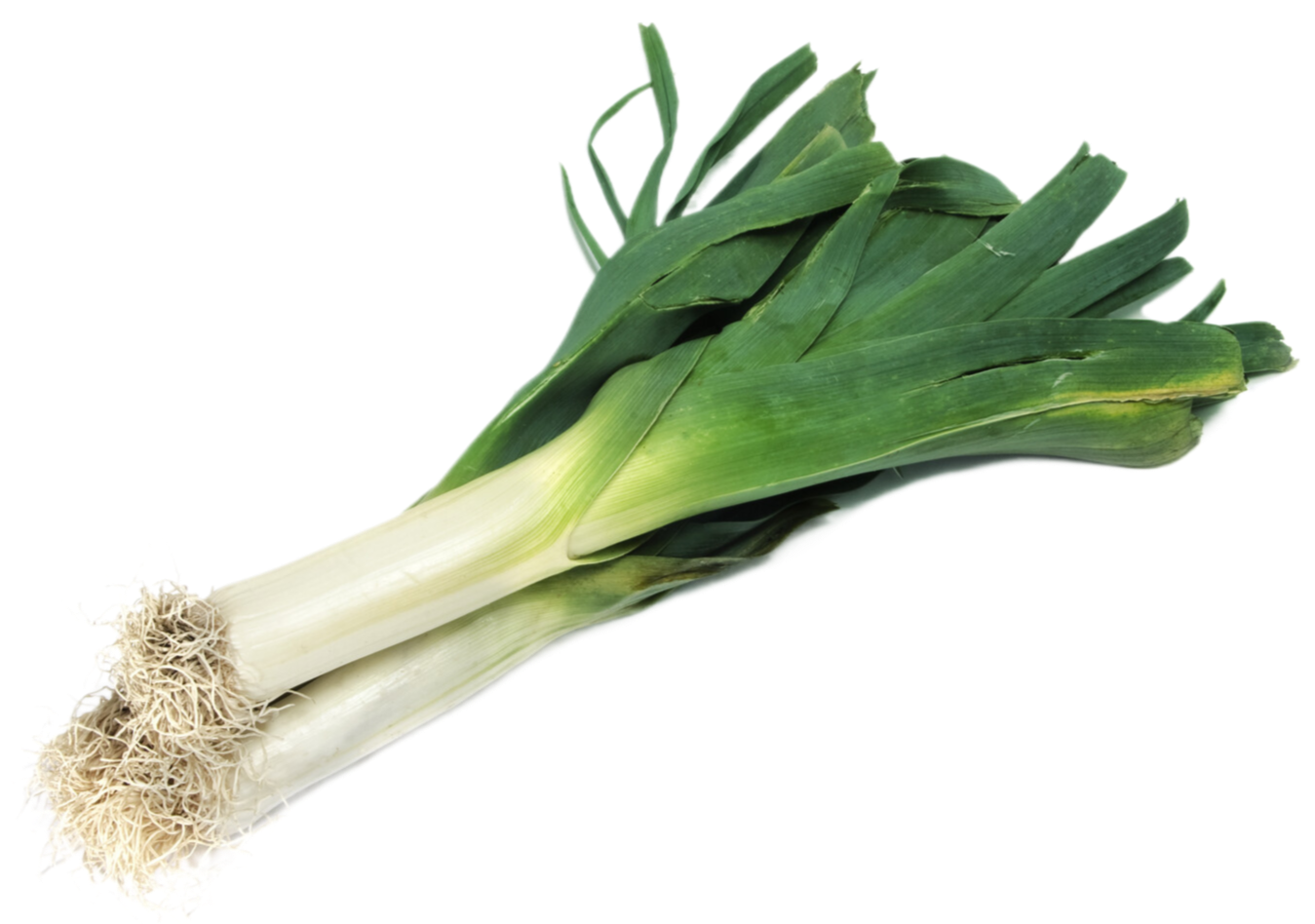 Organic Leeks - PER LB | Juneau Natural