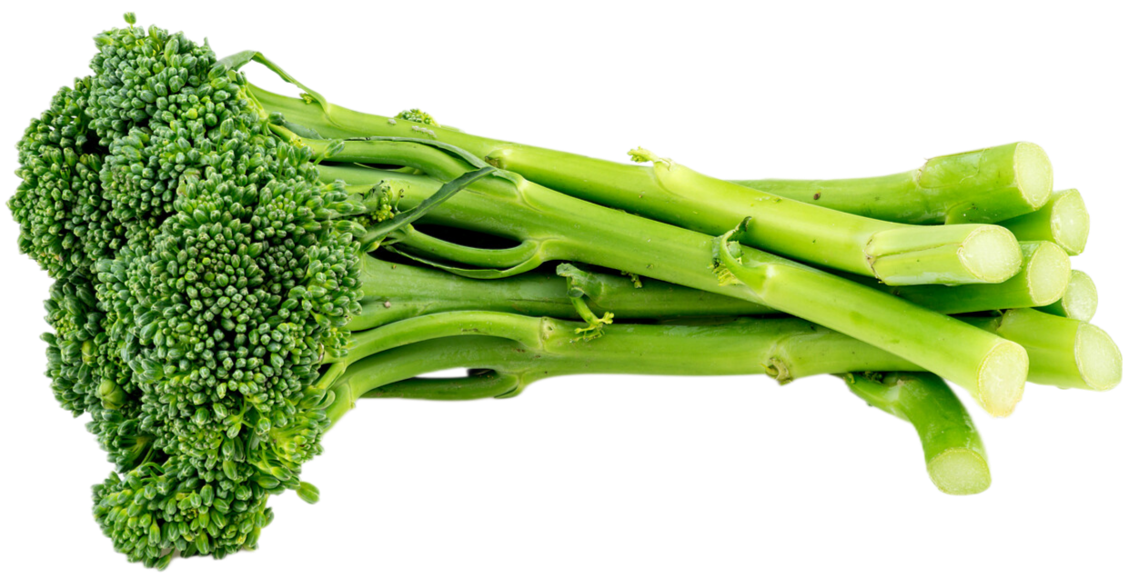 Organic Baby Broccoli - BUNDLE | Juneau Natural