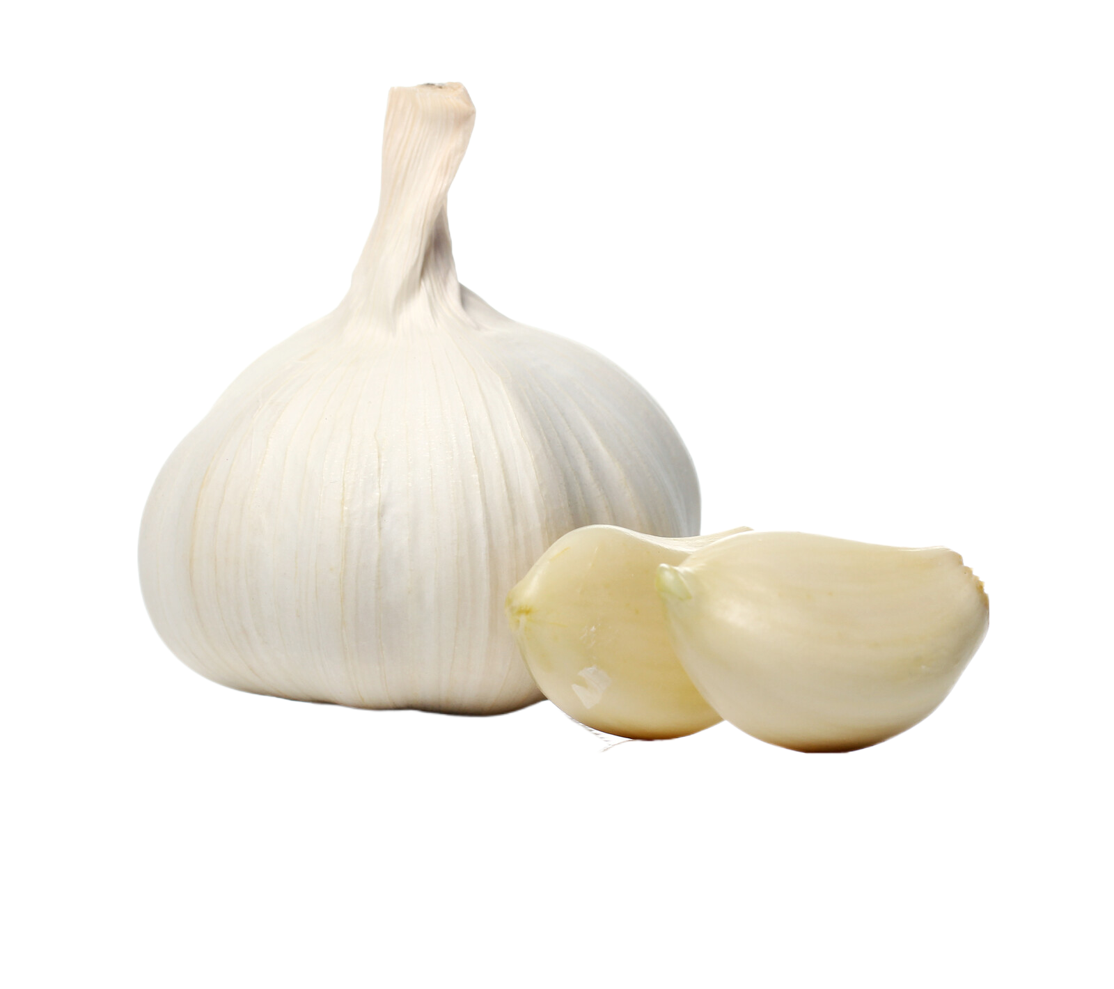 Organic Colossal Garlic - BULB | Juneau Natural