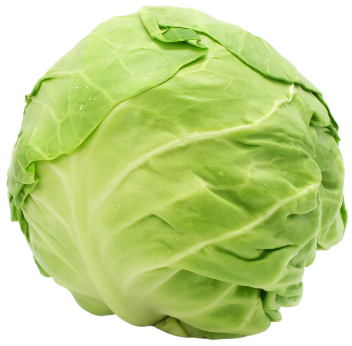 Organic Green Cabbage - EACH | Juneau Natural
