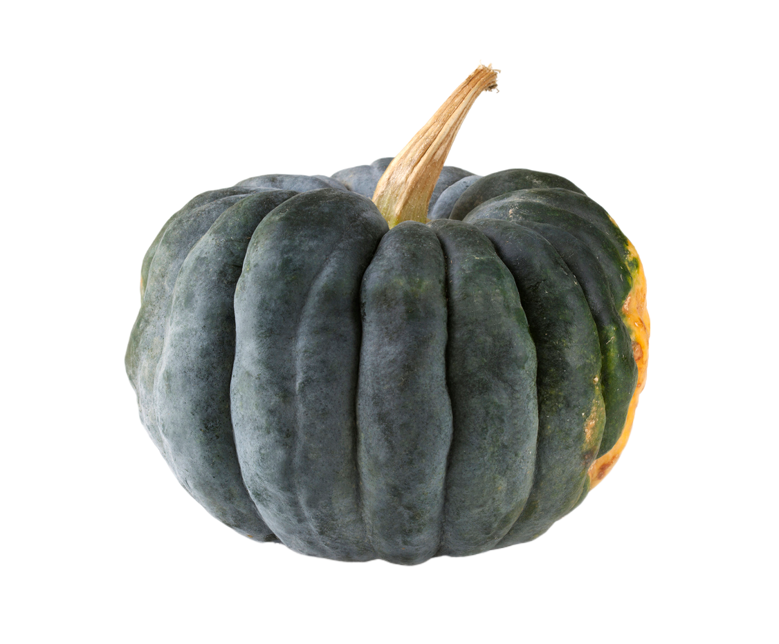Organic Black Futsu Squash - 1 LB | Juneau Natural